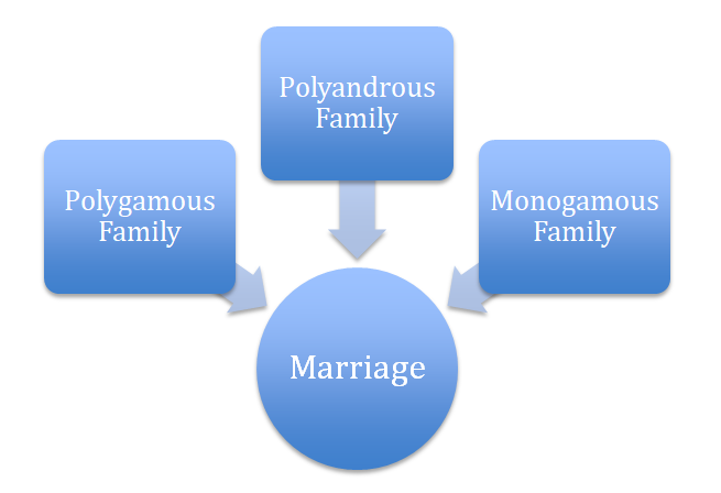  Extended Family Sociology Extended Family Definition 2022 10 24